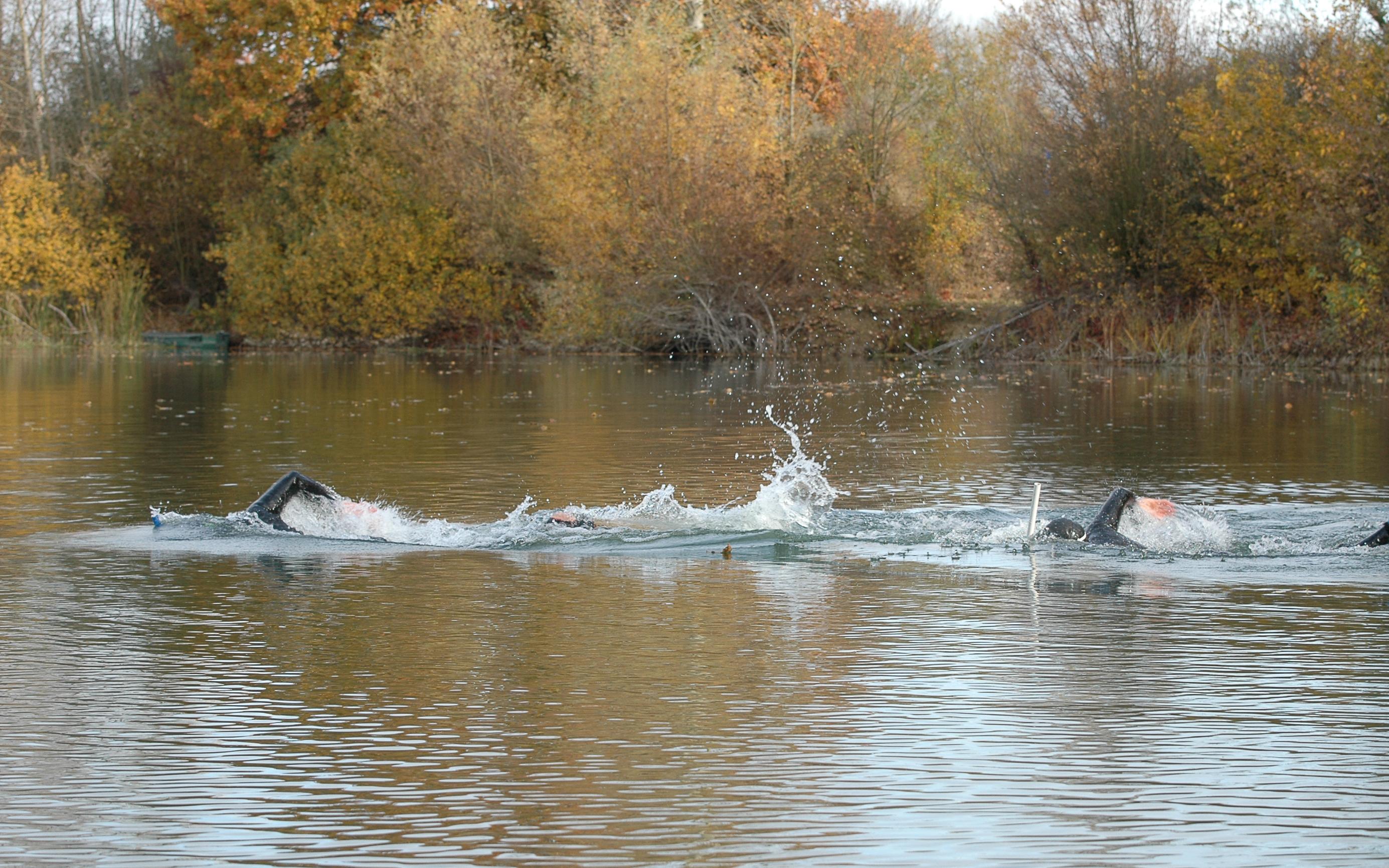 Reims-palmes-apnee | Initiation, entrainement jusqu'à la compétition ...
